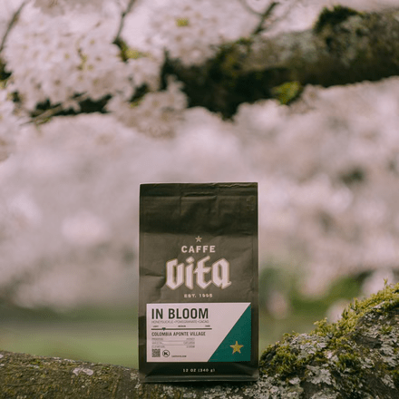 In Bloom: Single Origin [Colombia Aponte Village] (Med Roast) - - grown ...